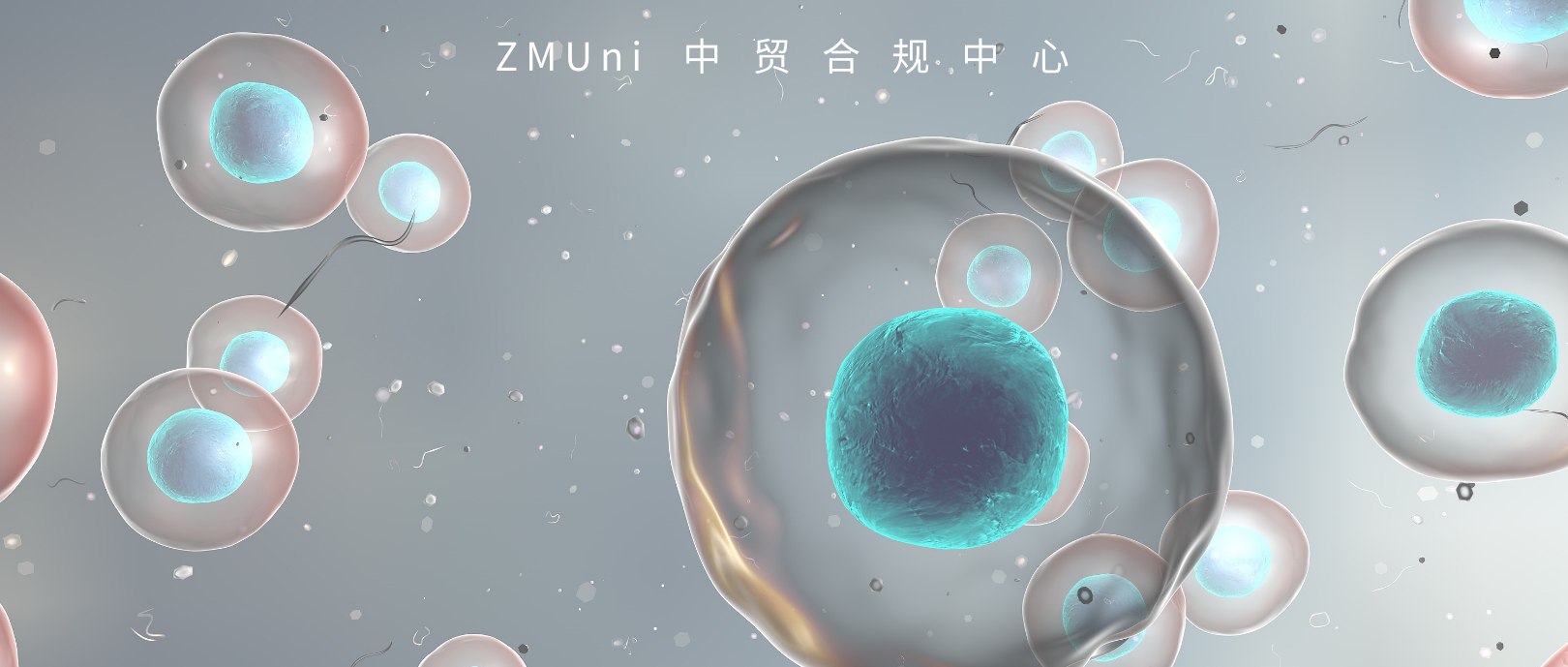 干细胞外泌体是什么？一文汇总鉴别方法与标准 - 中贸合规中心